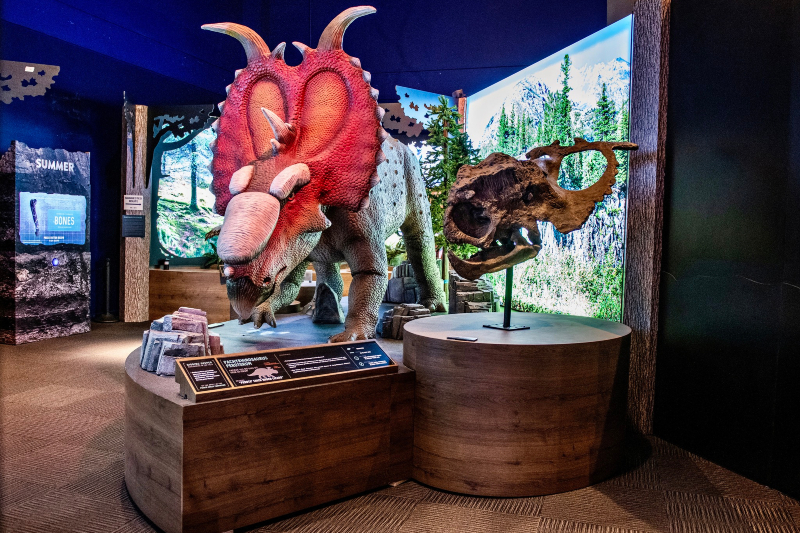 New “Ice Dinosaurs” Exhibit Brings a Frozen Prehistoric Adventure to ...