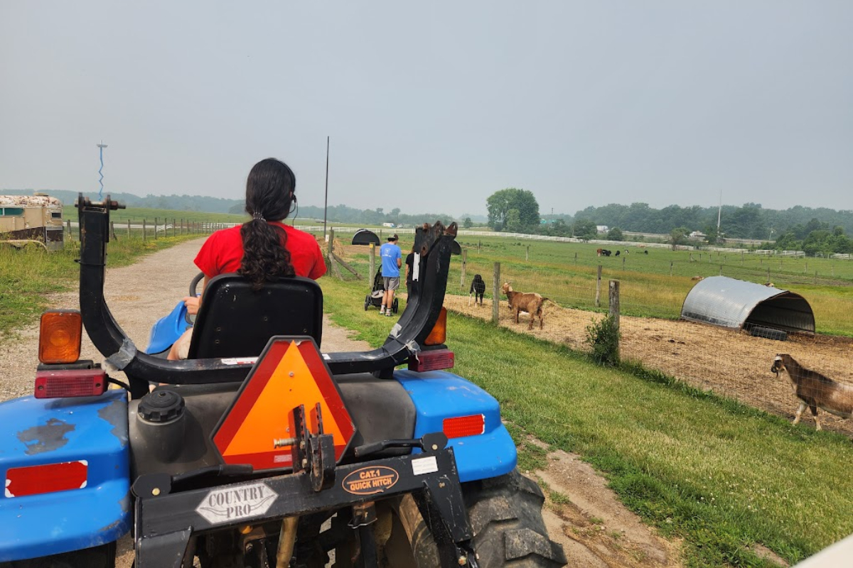 Plan A Visit To The Petting Farm At Domino’s Farm In Metro Detroit ...