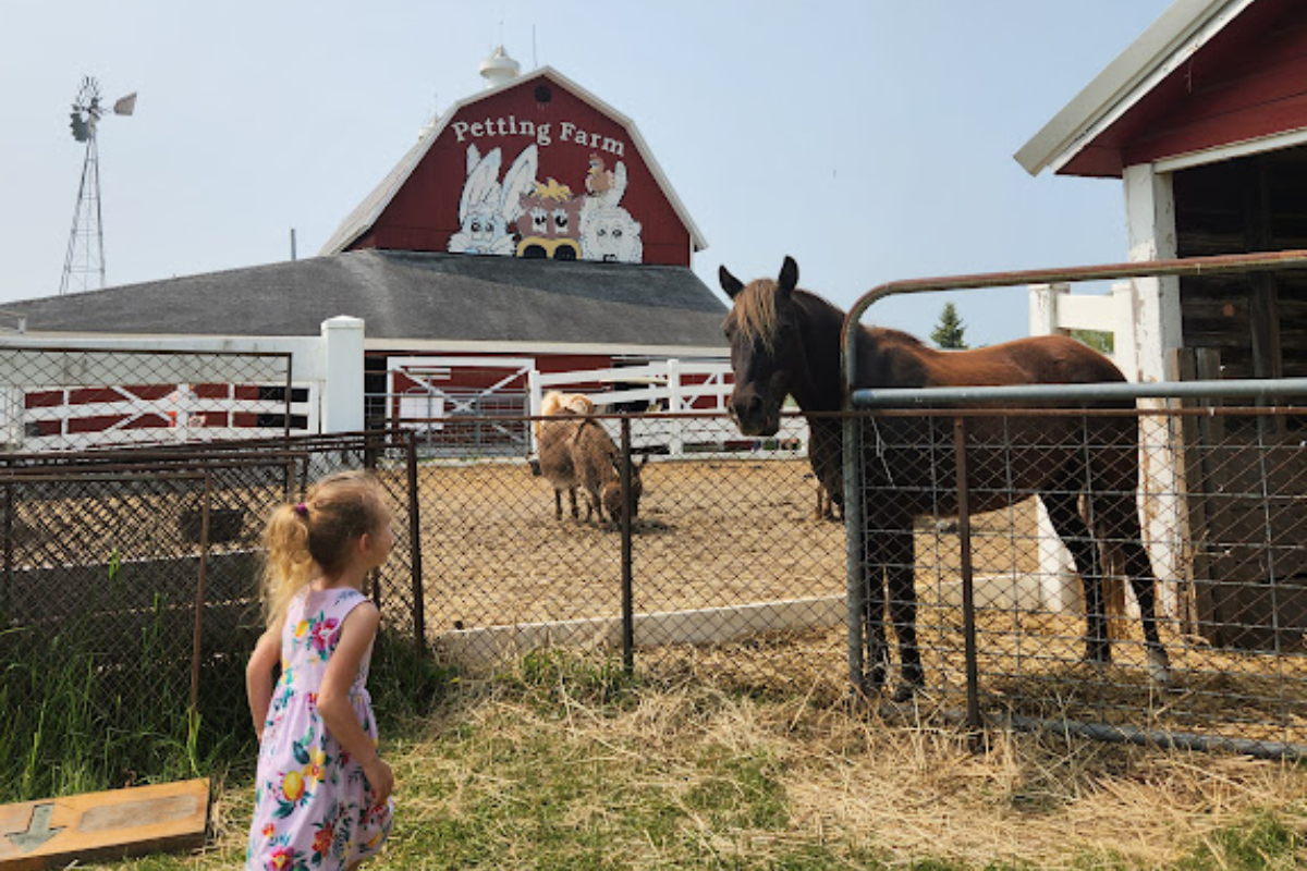 Plan A Visit To The Petting Farm At Domino’s Farm In Metro Detroit ...