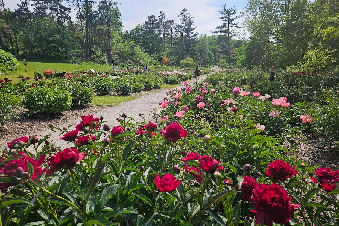 Plan A Visit To Carousel Acres - LittleGuide Detroit
