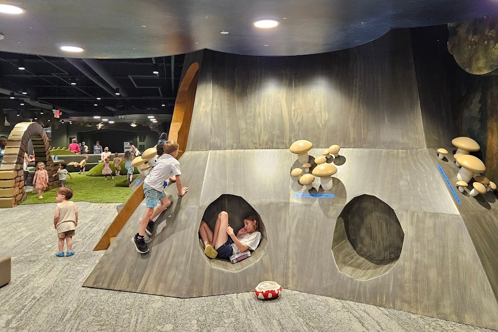 Plymouth District Library Unveils Magical New Children’s Department ...